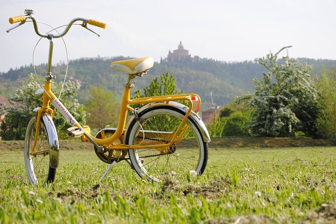 Bologna Panoramic Bike Tour - The Bologna Panoramic Bike Tour: An Authentic Spin Through the City