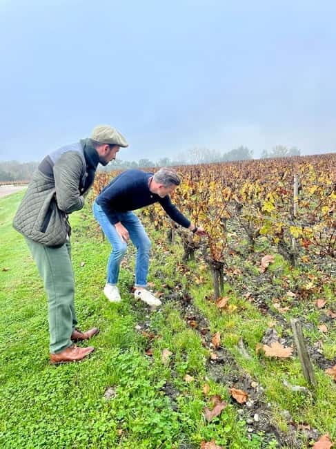 Bordeaux: Graves, Pessac-Léognan, and Sauternes Vineyards - Visiting Two Châteaux: Deep Dives into Bordeaux’s Winemaking