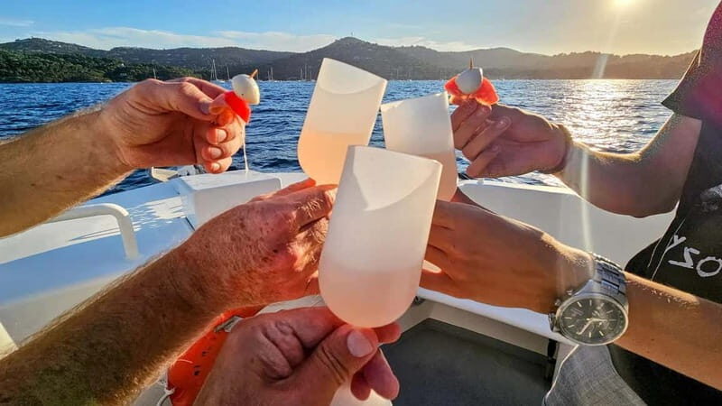 Bormes-les-Mimosas: Aperitif Tasting Cruise at Sea on an electric boat