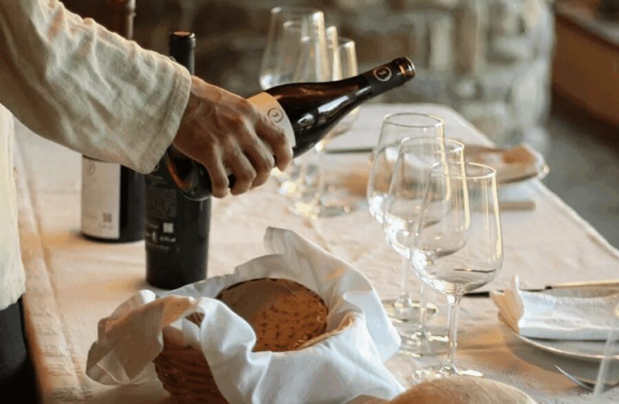 Boutique Winery Tour & Tasting in North Tuscany