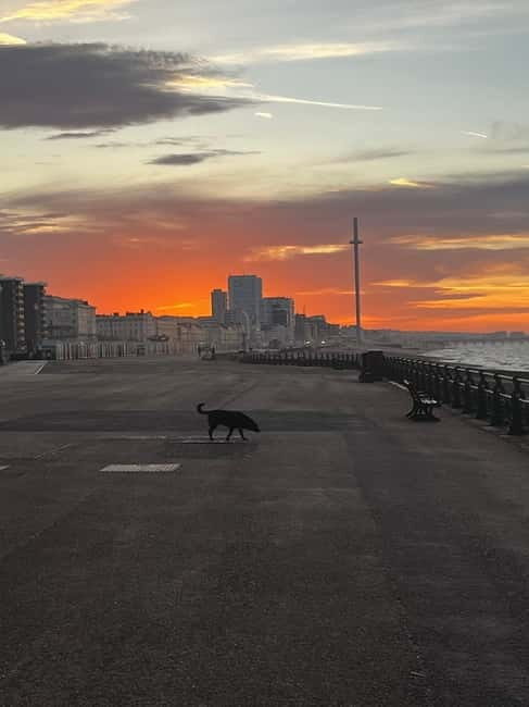 Brighton Beach: Sunrise Hatha Yoga Class with Ocean Views