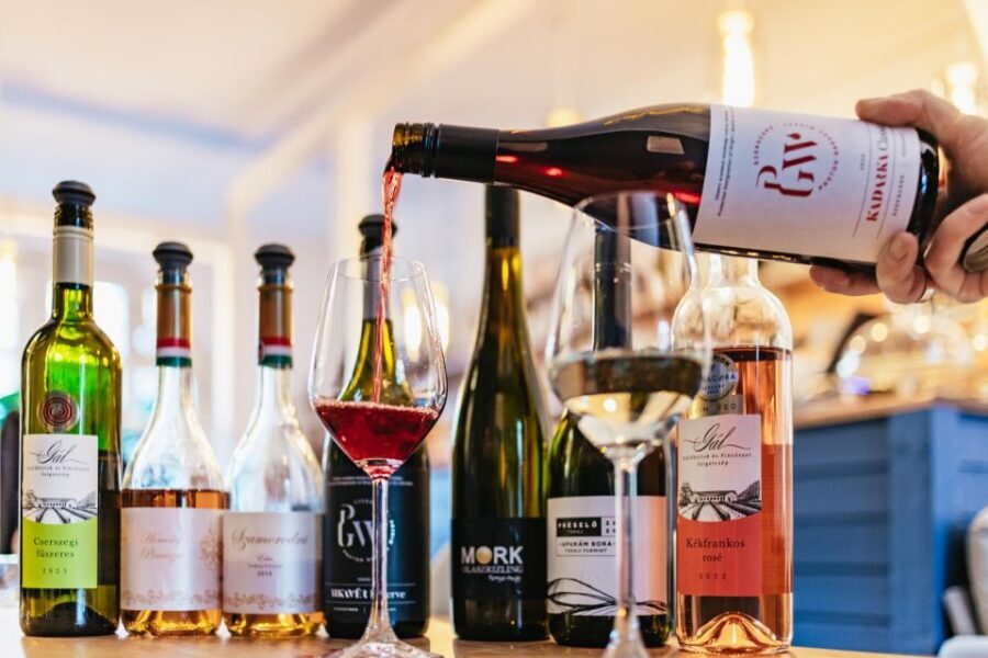 Budapest: Hungarian Wine Tasting with 7 Wines and Tapas