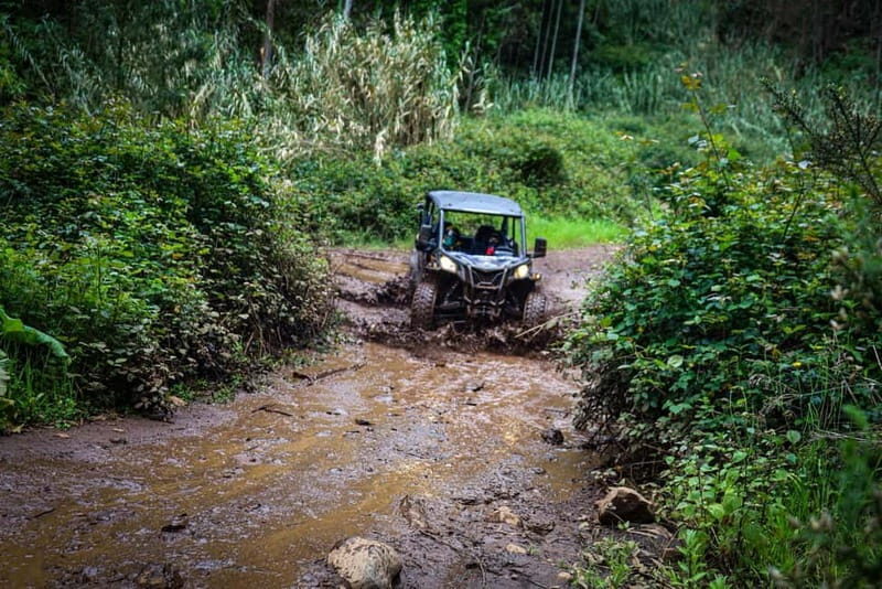 Buggy FunTrip Madeira - Off-Road Valley Adventure Tour