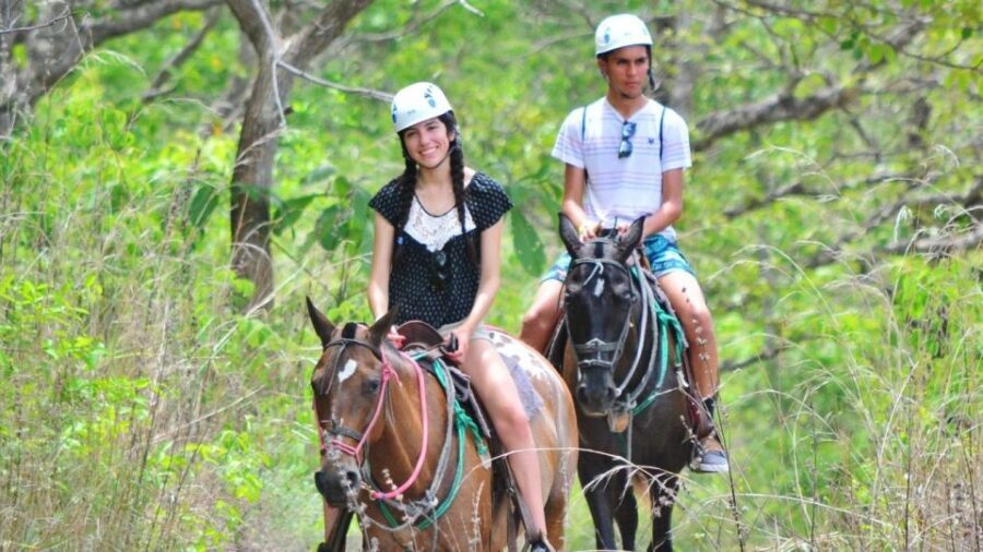 Cádiz Country side: Ride an Andalusian Horse