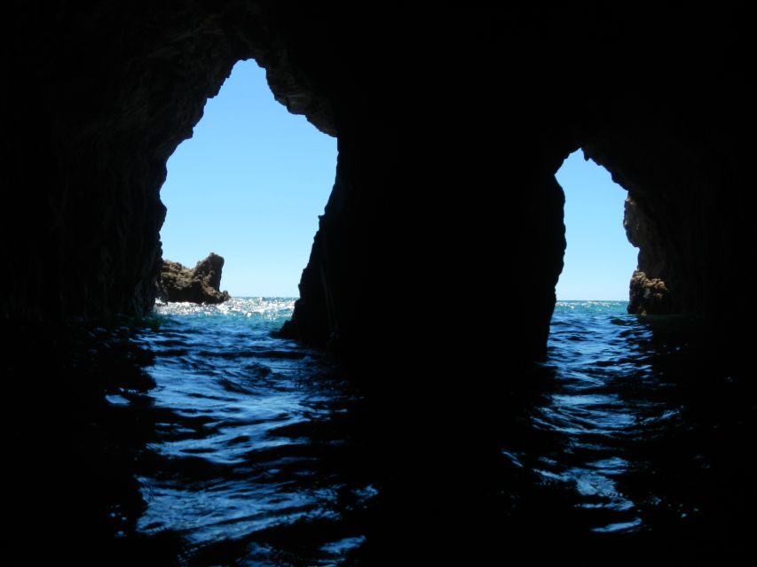 Cagliari: Professional Guided Coasteering Shore Excursion