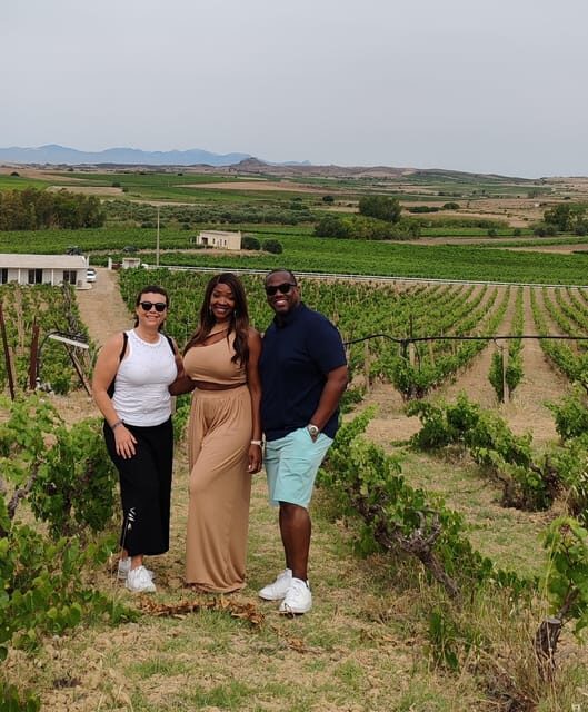 Cagliari: Wine and Olive oil Experience + Oil Mill Museum