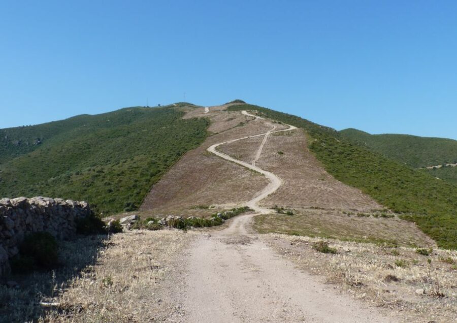 Calvi: Asco Valley 4x4 Day Tour with Guide