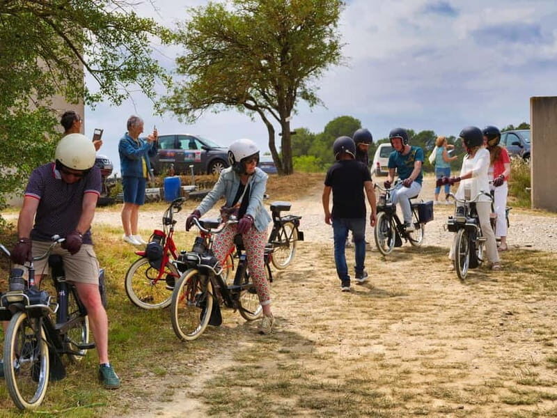 Carcassonne: Solex ride with guide and wine tasting