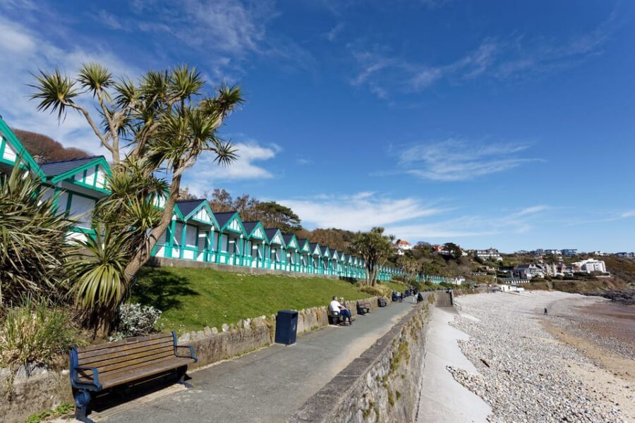 Cardiff: Gower Peninsula's Cliffs & Bays Scenic Day Tour
