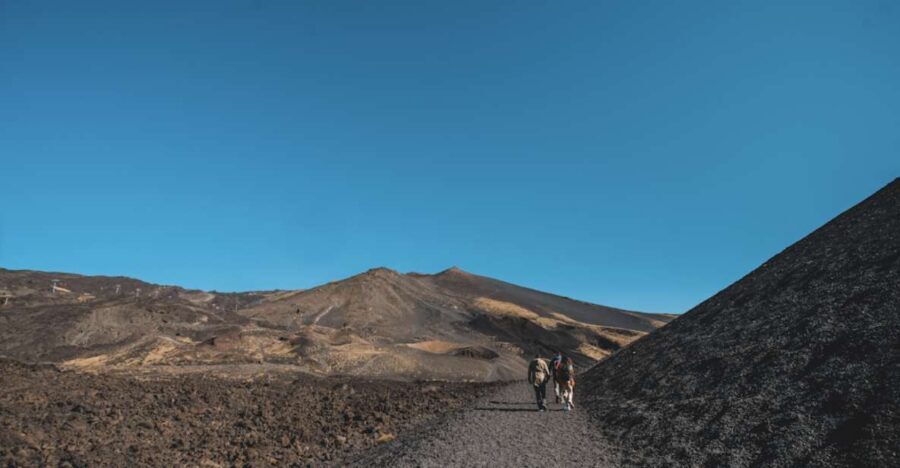 Catania: Etna Morning Excursion with Tasting and Pickup