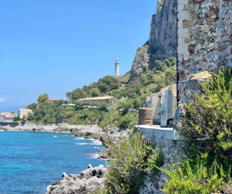 Cefalù: Authentic Food & Wine Tour - What Makes This Tour Special?