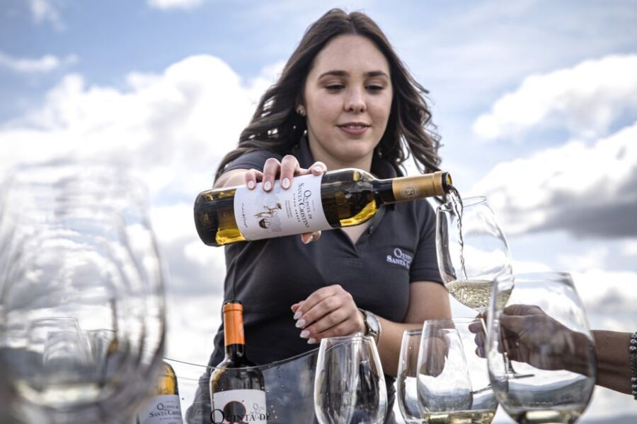 Celorico De Basto: Quinta de Santa Cristina Winery Tour