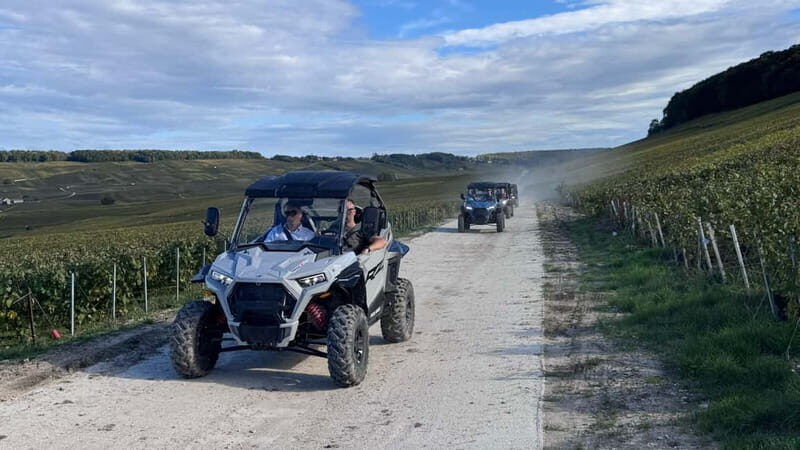 Champagne vineyards: 2-hour guided tour of the vineyards in a Buggy