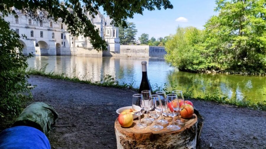 Chenonceau: guided ebike ride and wine & cheese picnic lunch