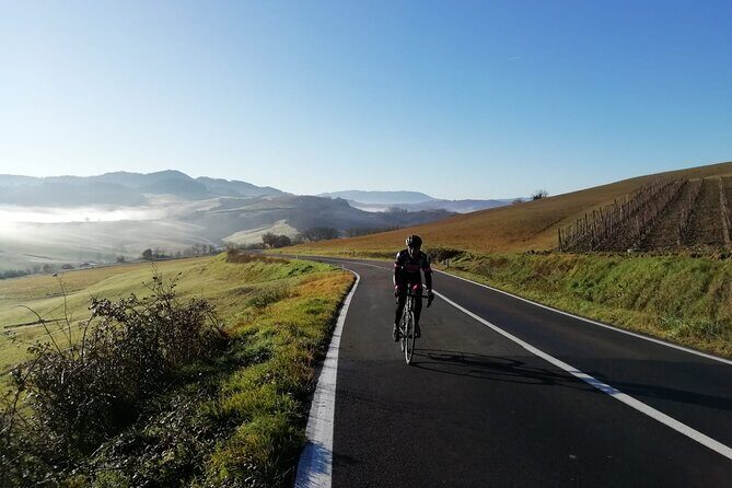 Chianti Classico Bike Tour from Siena