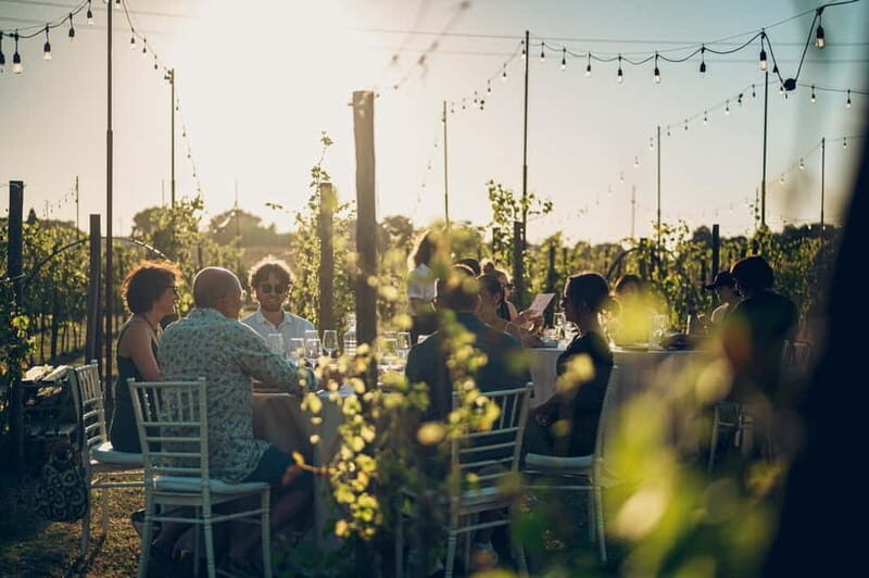 Chianti: Tuscan Vineyard Dinner with Wine Tasting