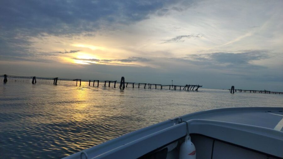Chioggia: discover aquaculture techniques in a typical boat