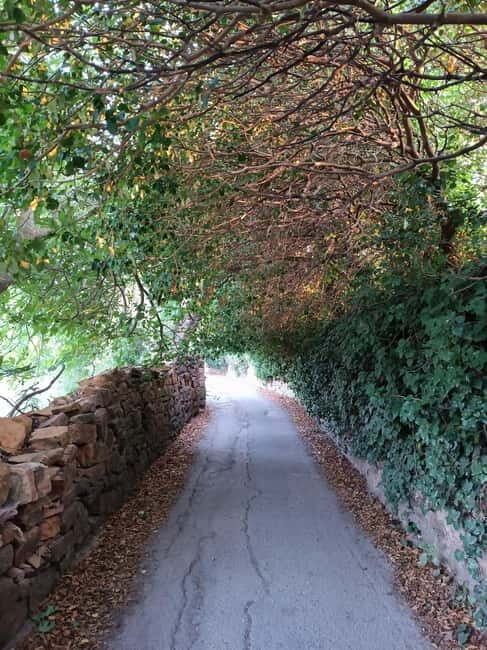 Chios: Kampos Private Walking Tour - Who Is This Tour Best For?