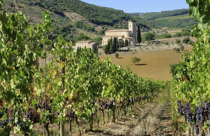 Cities, Cheese and Wine Tour in Pienza & Montepulciano - An In-Depth Look at the Tour Itinerary