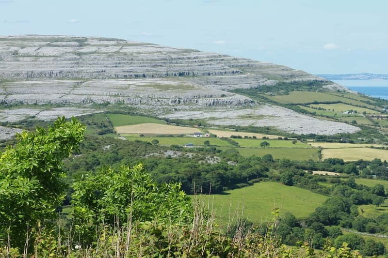 Cliffs of Moher Private Day Tour