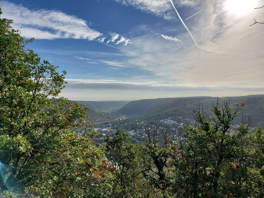 Cochem, Moselle: Wine experience hike with boat