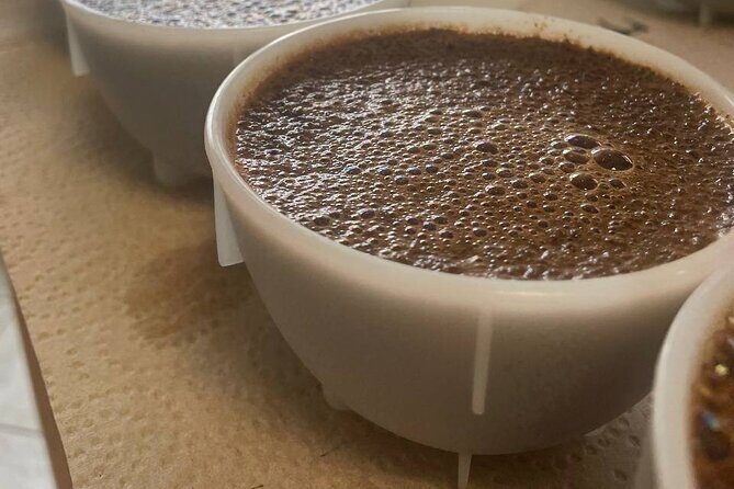 Coffee Sensory Training in Ljubljana
