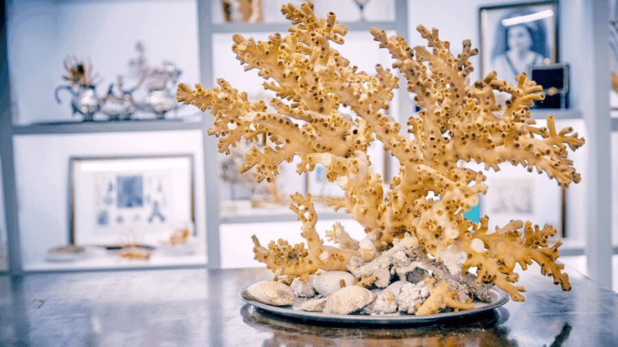 Coral workshop and visit of the museum in Sciacca