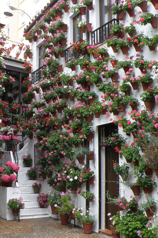 Cordoba Courtyards by Bike, Electric Bike