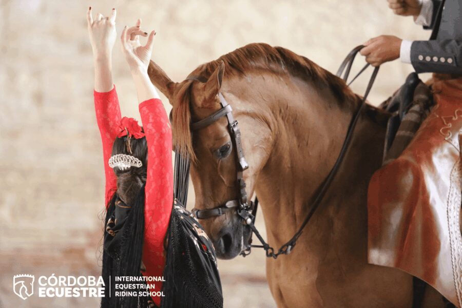 Cordoba: Equestrian Show General Entry