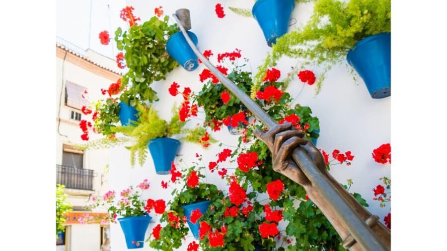 Cordoba's Authentic Patios: 2-Hour Tour with Tickets