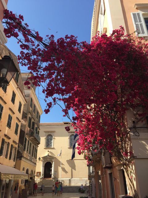 Corfu: History and Culture Walking Tour - Who Should Consider This Tour?