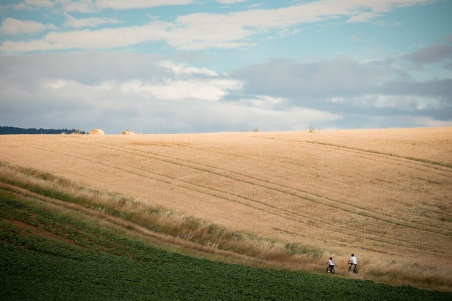 Cortona: Val di Chiana E-Bike Tour with Optional Wine Lunch
