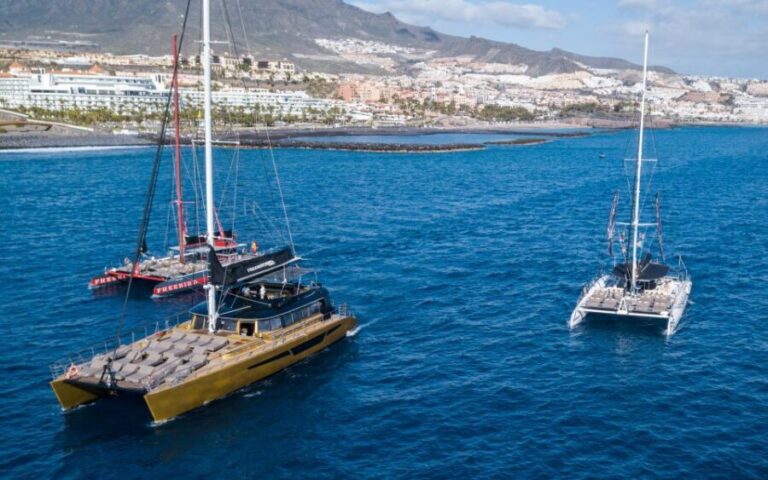 Costa Adeje: Whale Watching Cruise with Snack and Drinks - Key Points