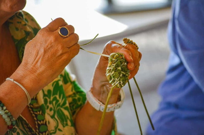 Cotignac: Workshop to discover wild basketry