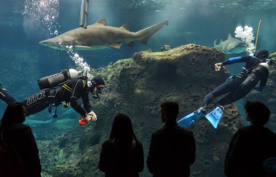 Crete: Heraklion Center, Local Market and Creta Aquarium