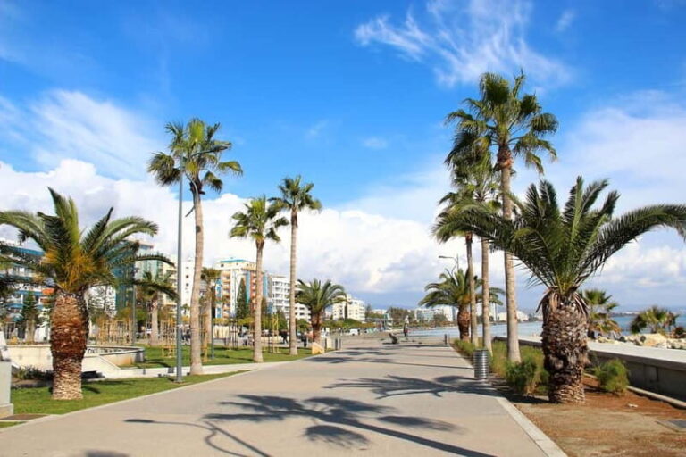 Cypruss History and Charm: Full-DayPrivate Tour from Paphos - Why Does This Tour Offer Good Value?