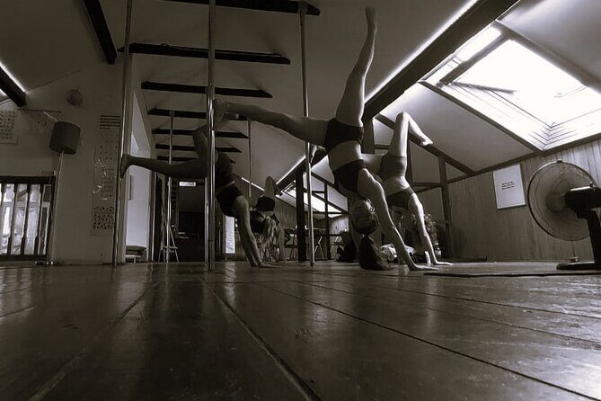 Dance Class (choose 1: Pole Dance, Burlesque or Aerial Silk/Hoop)