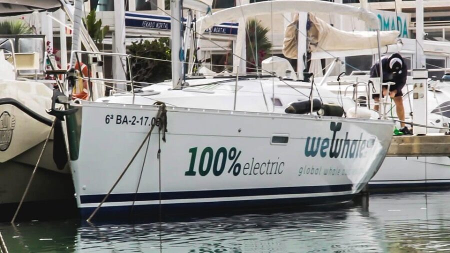 Denia: Sunset Electric Sailboat Cruise with Dolphin Spotting