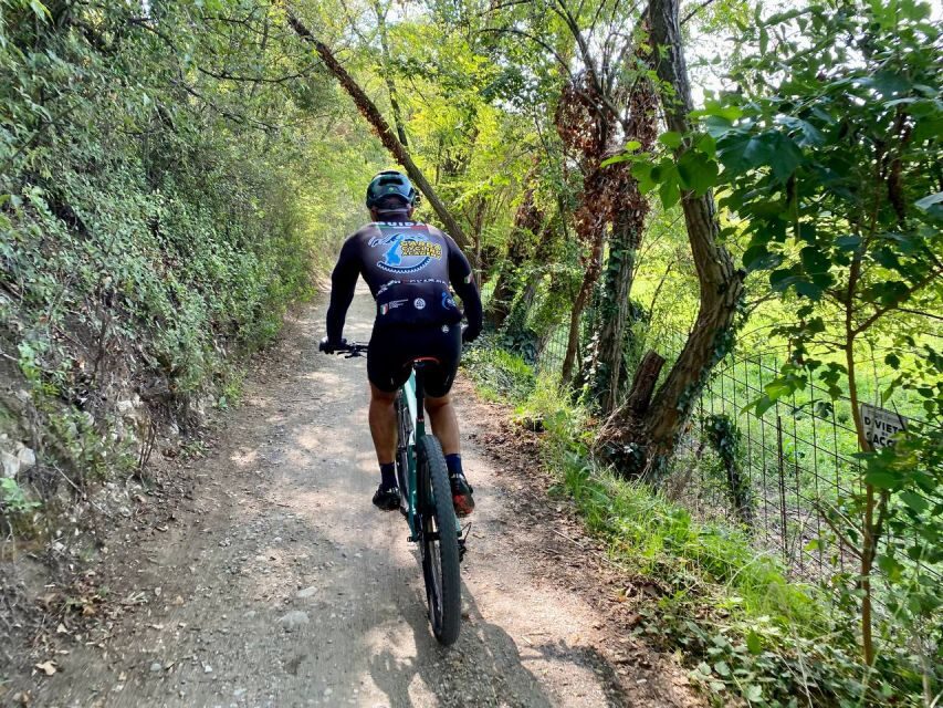 Desenzano: e-Bike Tour with Wine Tasting