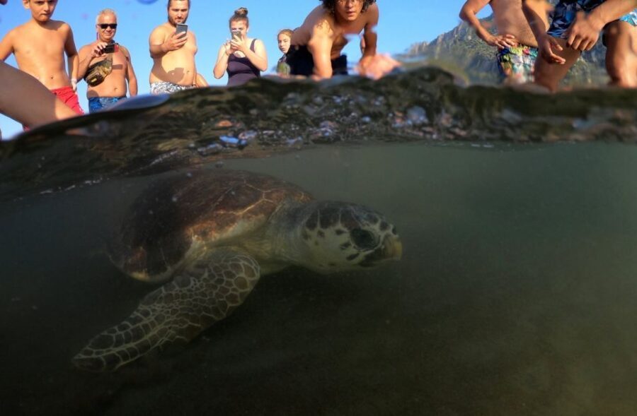 Didim: Dalyan Tour with Turtle Beach, Mud Bath & Lunch