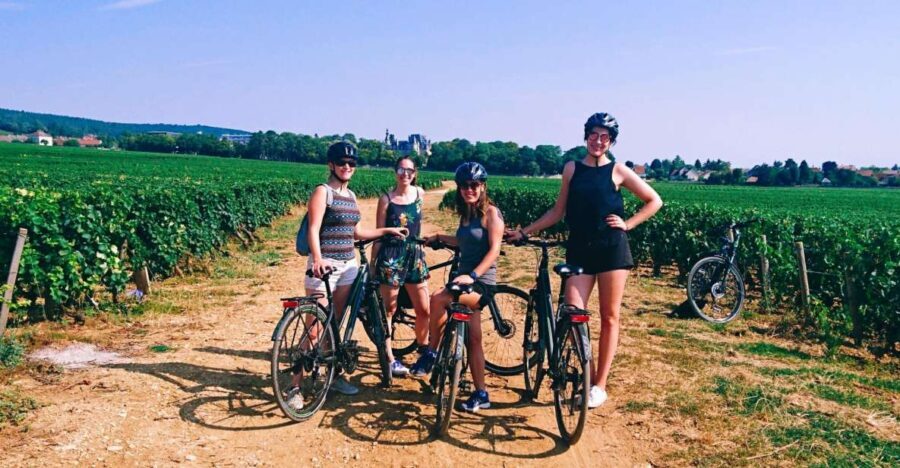 Dijon: Half-Day Guided Gourmet Bike Tour
