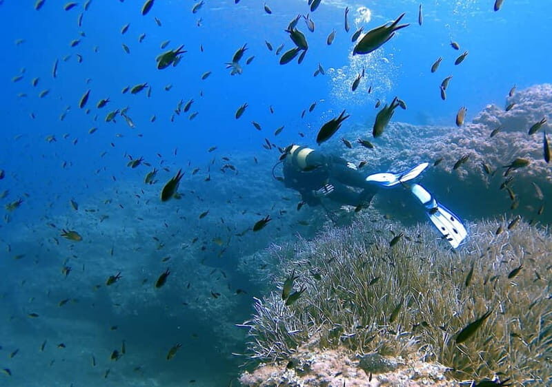 Discover Scuba Diving in Menorca: your first underwater adventure