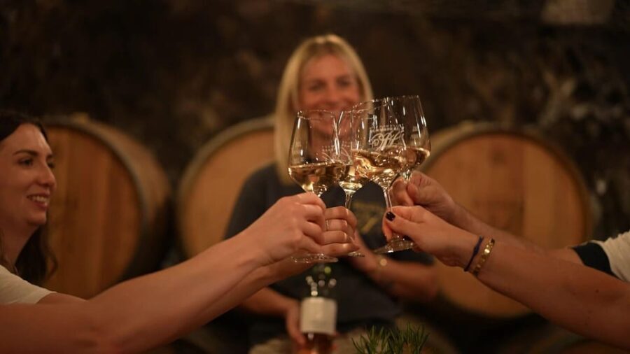 Discovery tour - cellar tour with wine tasting