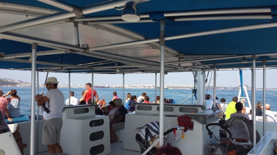 DOLPHIN LOVERS FULL DAY TOUR