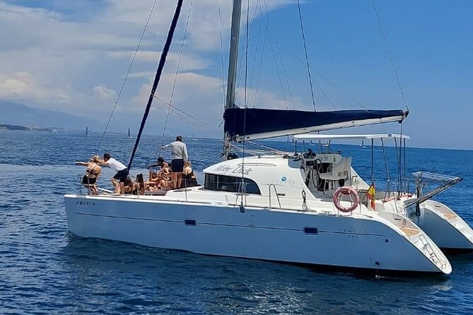 Dolphin trips on a catamaran - The Tour Basics: What Are You Signing Up For?