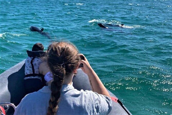 Dolphin watching in Setúbal - What to Expect: An Itinerary Filled with Scenic and Wildlife Highlights