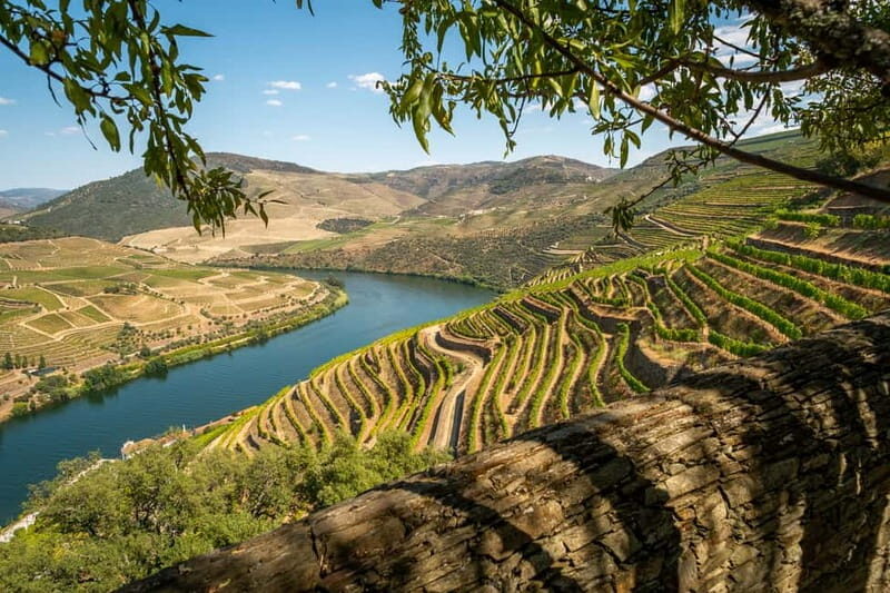 Douro Private Tour  Customizable Experience