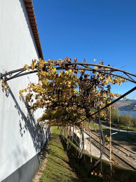 Douro - tour with train, walking, picnic and wines