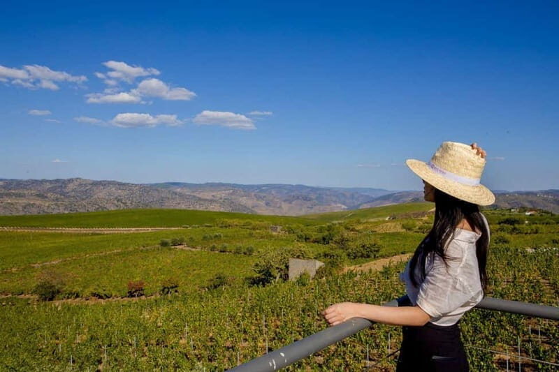 Douro Valley: Bottled VS Barrel Aged Port Wine