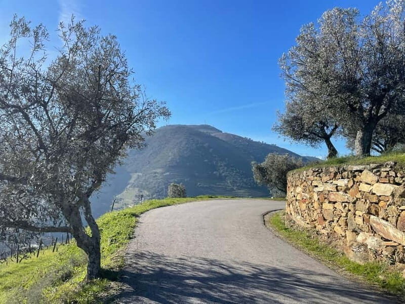 Douro Valley: Kayak and Vineyard Tour with Lunch and Wine